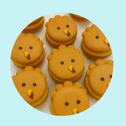 Class Schedule | Sweet Spot Studio