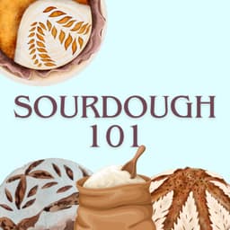 Class Schedule | Sweet Spot Studio